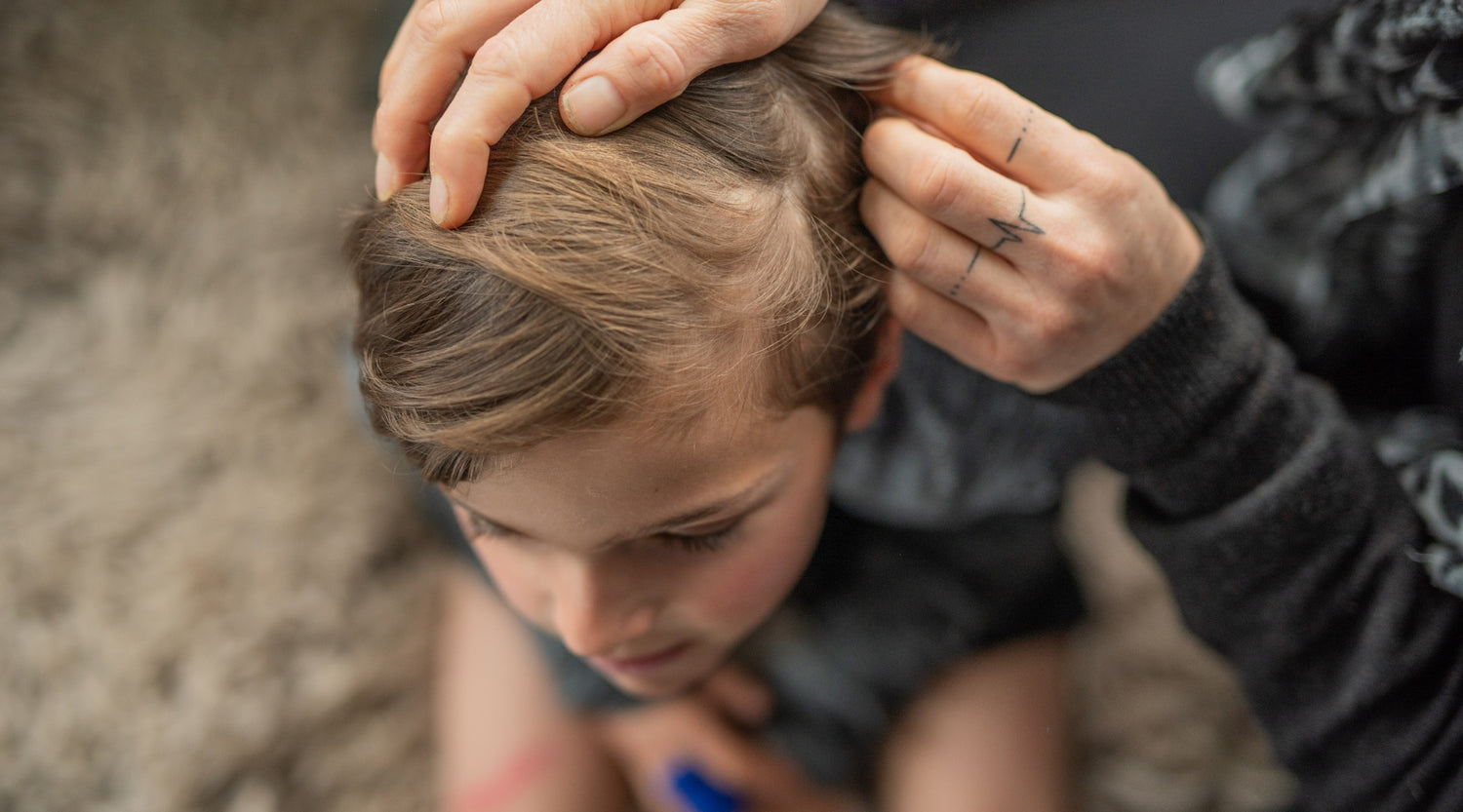 Lousy Situation: Everything You Need to Know About Head Lice Preventio ...