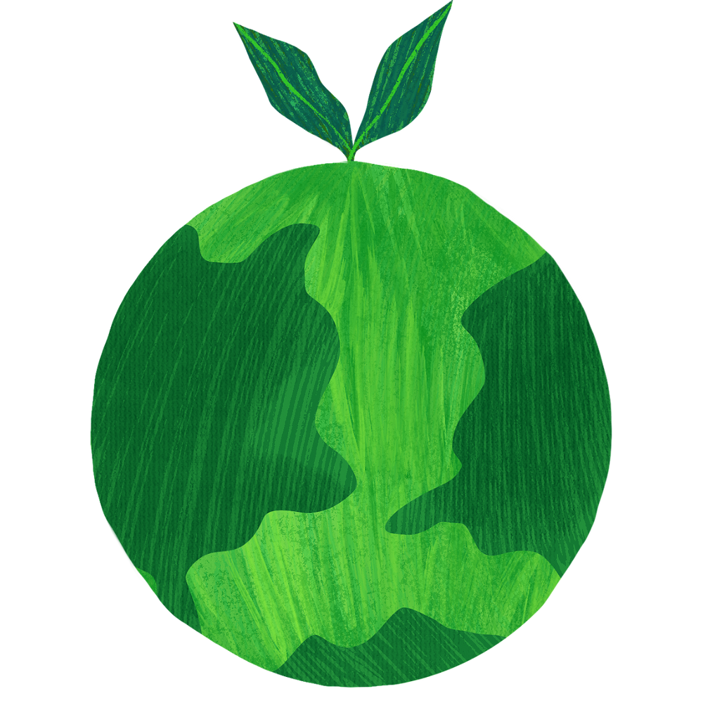 Delacet - Herbal Head Lice Solution – Delacet®